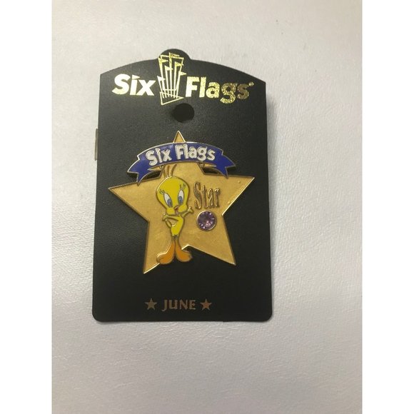 Six Flags | Other | Tweety Bird Star Pin June Birth Stone Vintage Six ...